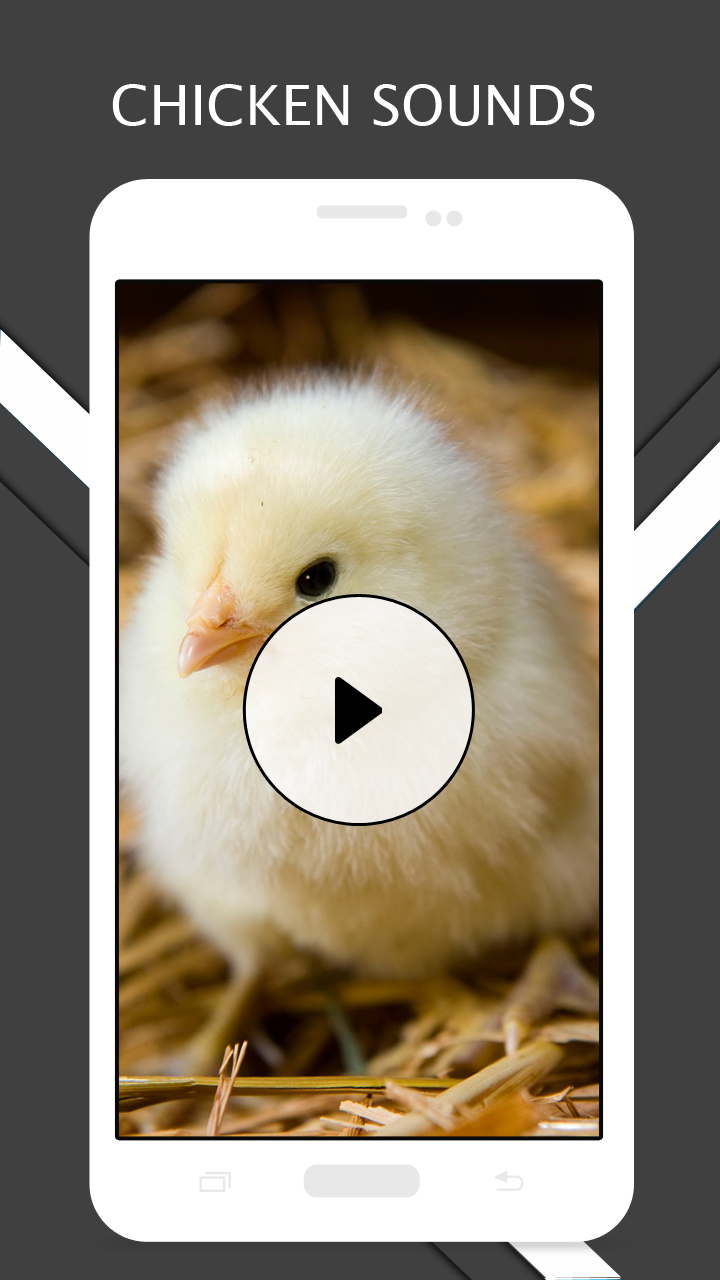 Chicken Sounds And Ringtones - App on Amazon Appstore