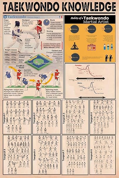 Amazon.com: Takewondo Knowledge Metal Tin Sign Habits Of A Taekwondo ...
