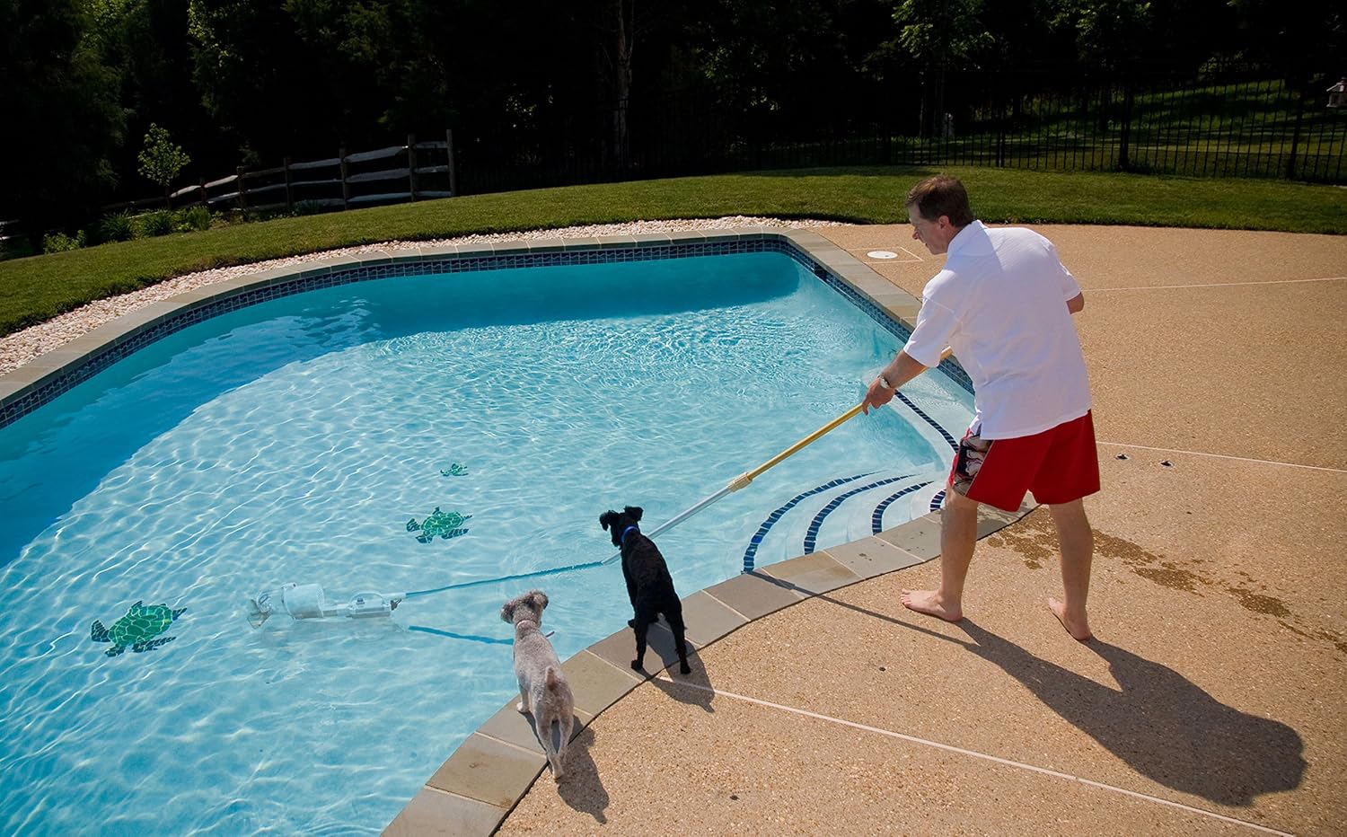 Amazon.com : Battery rechargeable portable pool vacuum cleaner : Patio ...