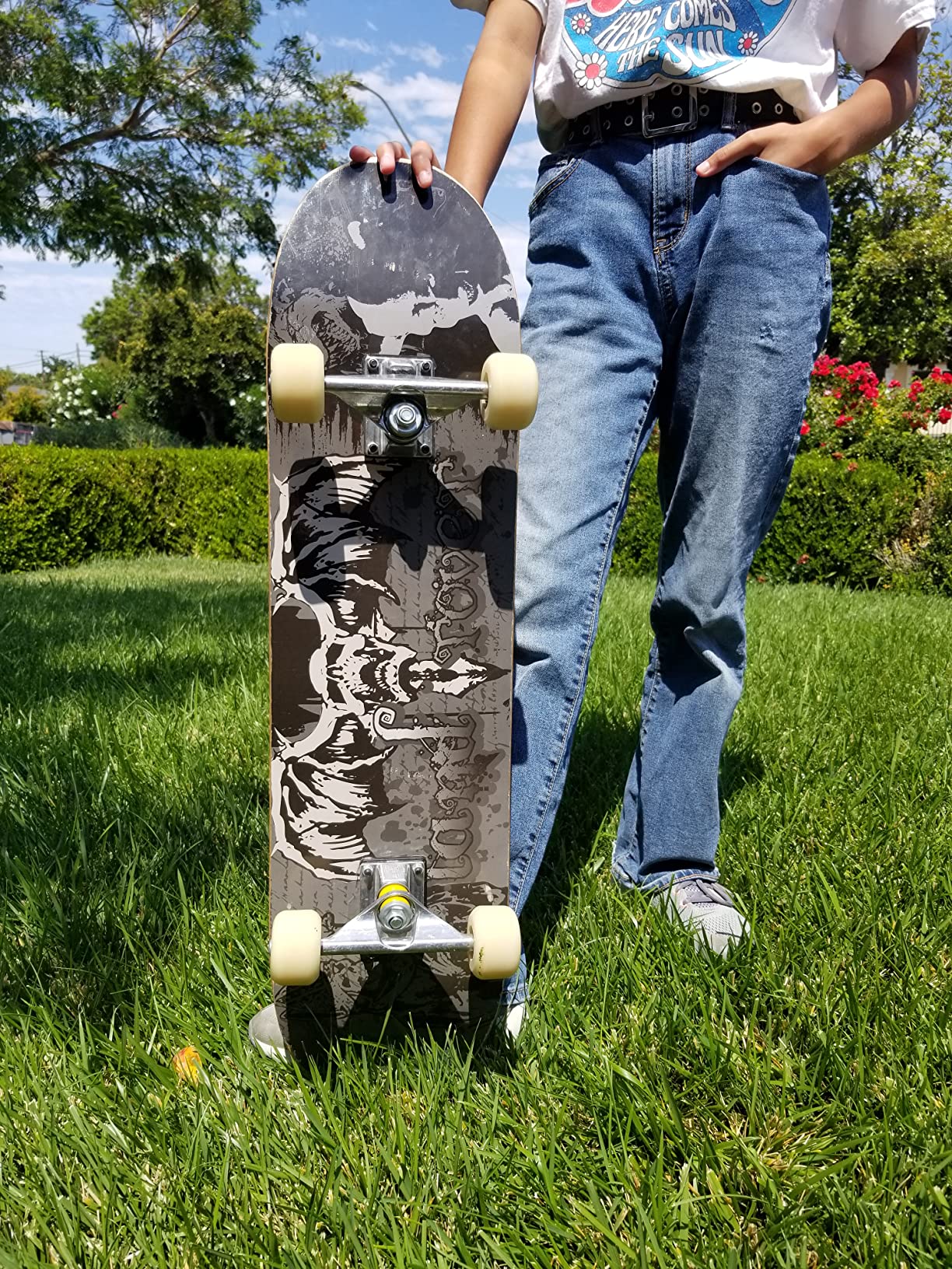 $10/mo - Finance FlyFlash Skateboard, 31"x 8" Complete Standard Skate ...