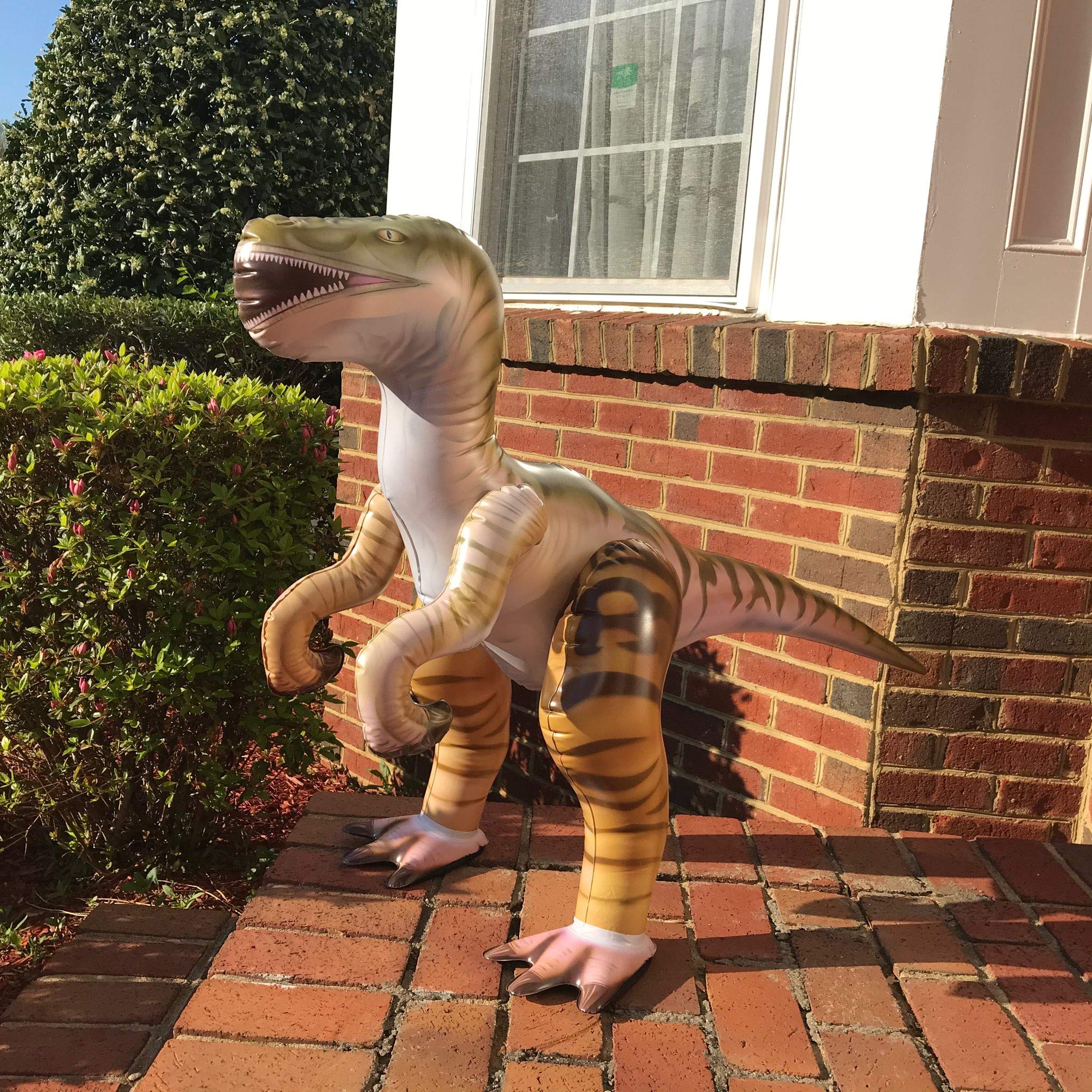 Jet Creations 4-pk Inflatable Dinosaurs Combo, T-rex Pteranodon ...