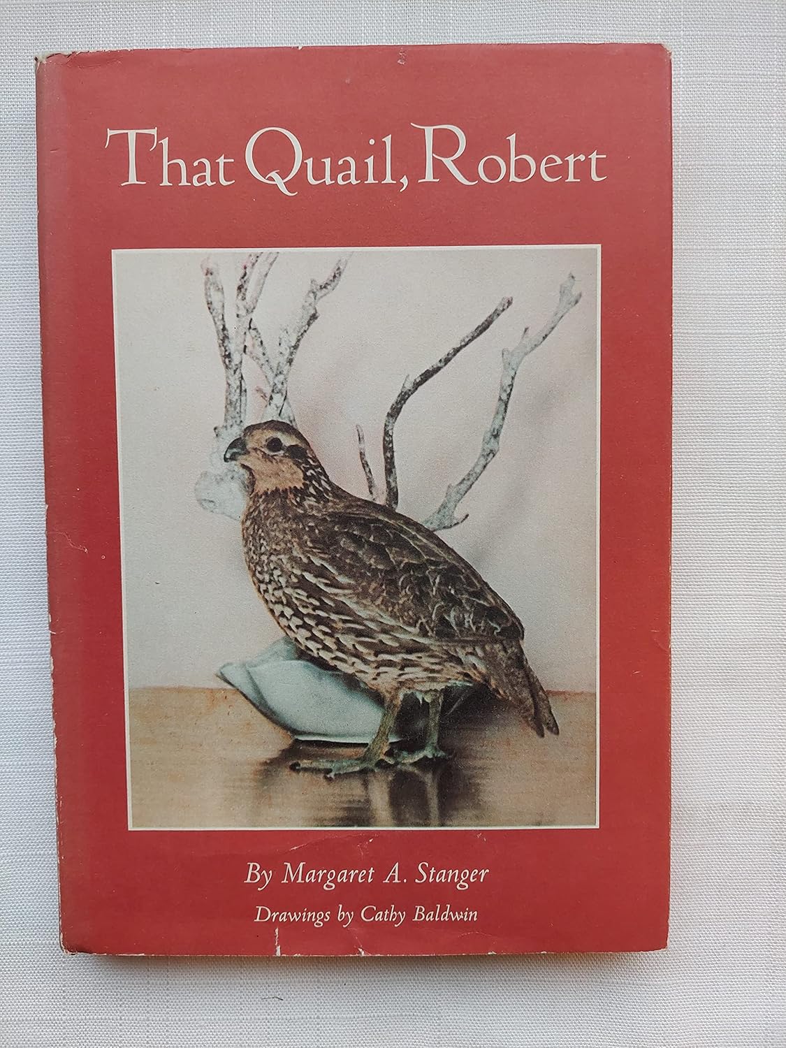1966 MARGARET STANGER THAT QUAIL ROBERT ILLUSTRATED BIRDS WITH DUST ...