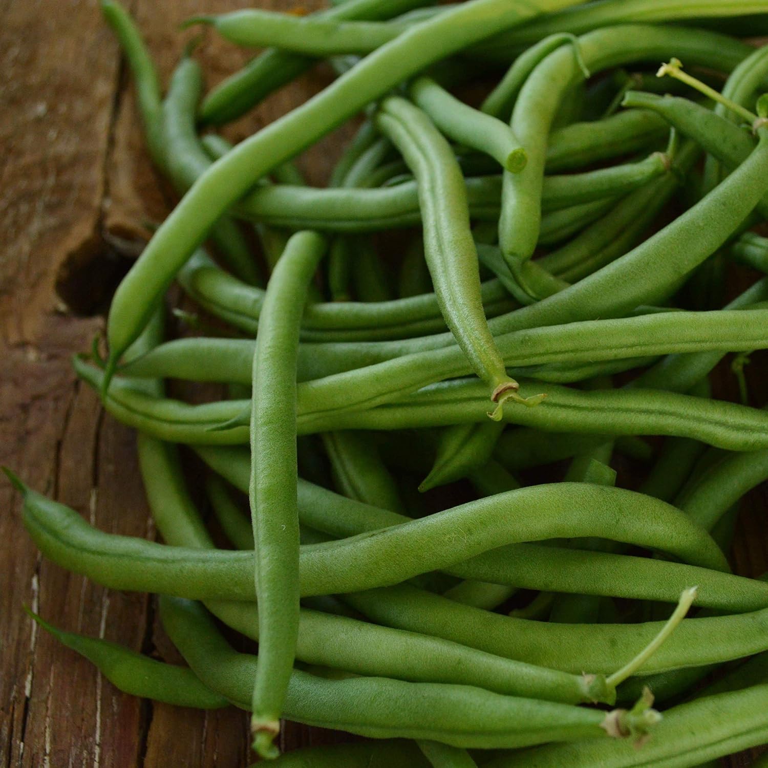 Amazon.com : Slenderette Bush French Filet Bean - 50 Seeds - Heirloom ...