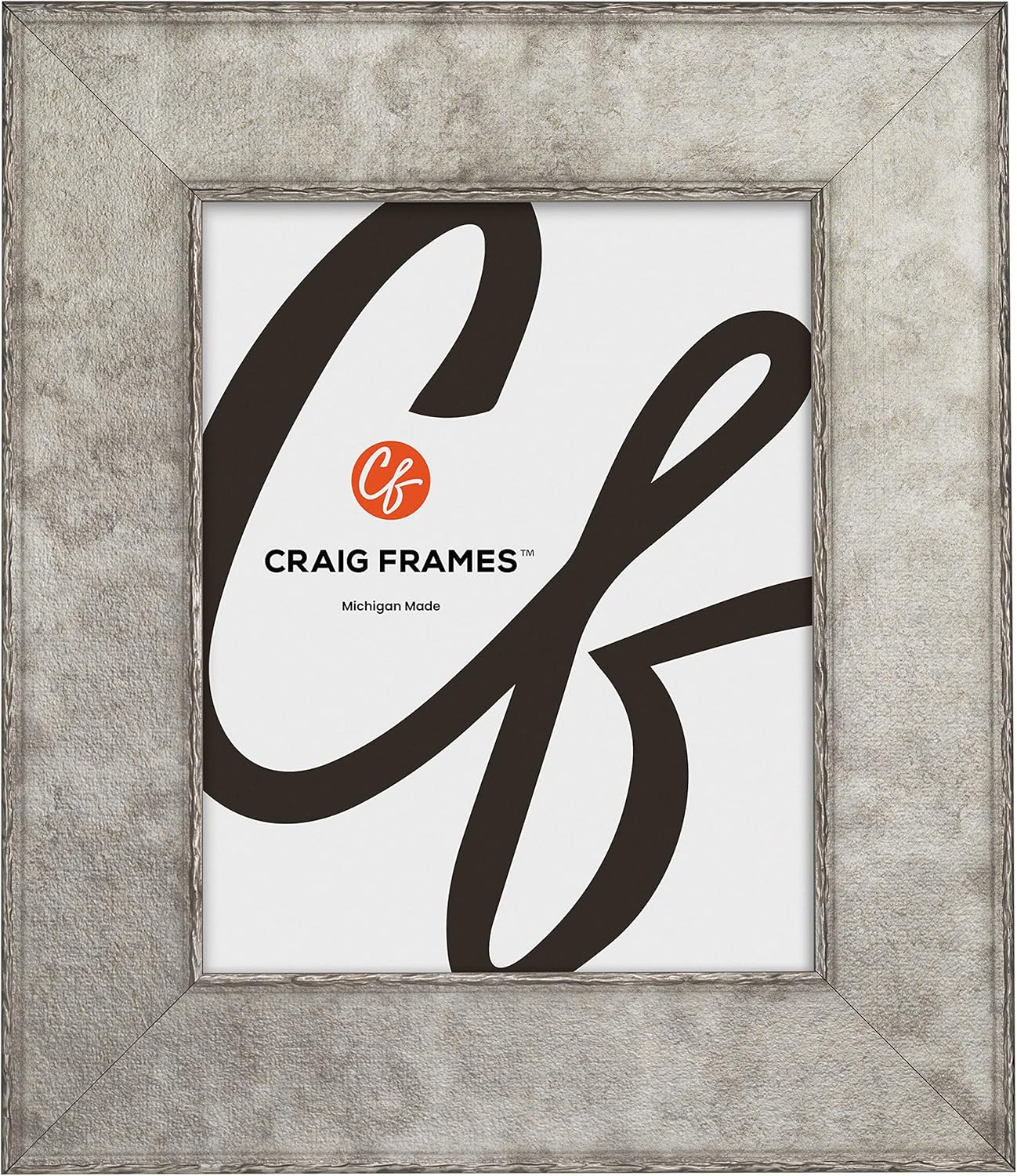 Amazon.com - Craig Frames Starlight, 11x14 Picture Frame, Silver