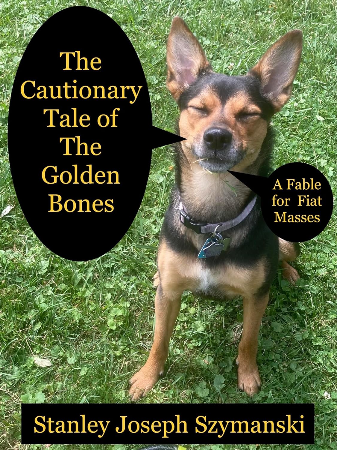 Amazon.com: The Cautionary Tale of the Golden Bones: A Fable for Fiat Masses eBook : Szymanski ...