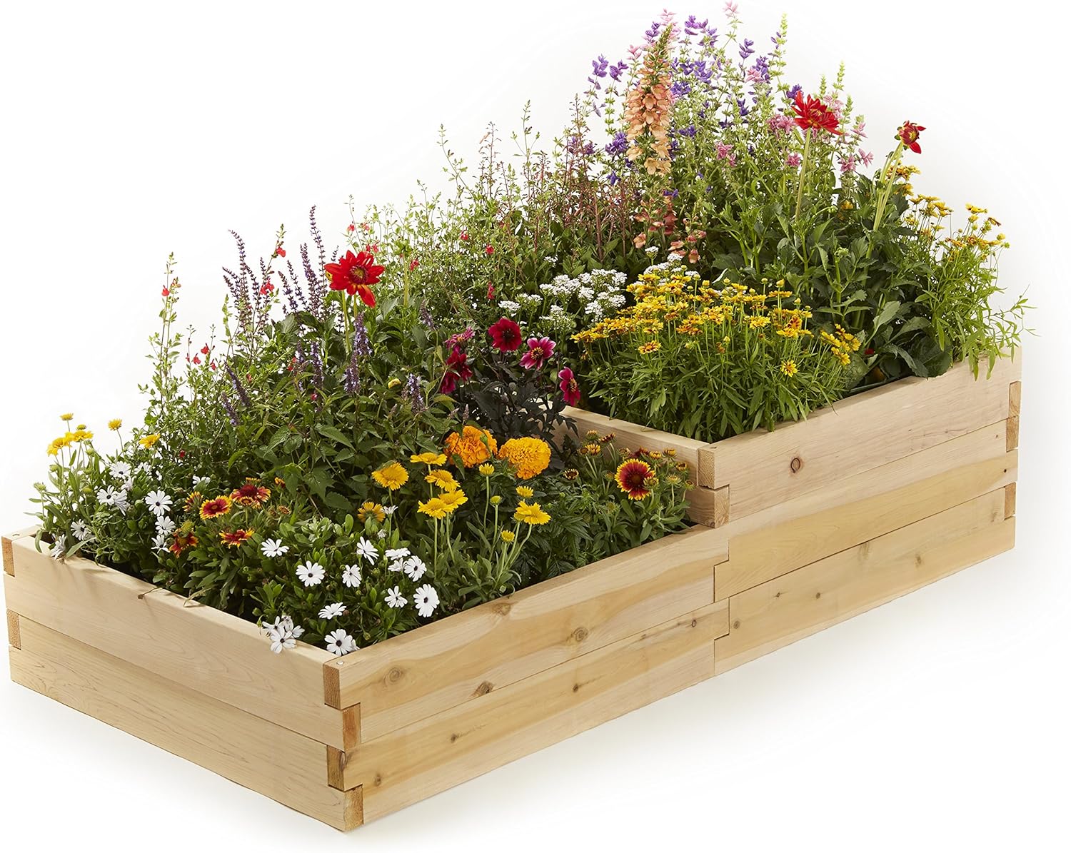 Amazon.com: Naturalyards Raised Garden Bed, Multi-Level (Cedar, 2'x4 ...