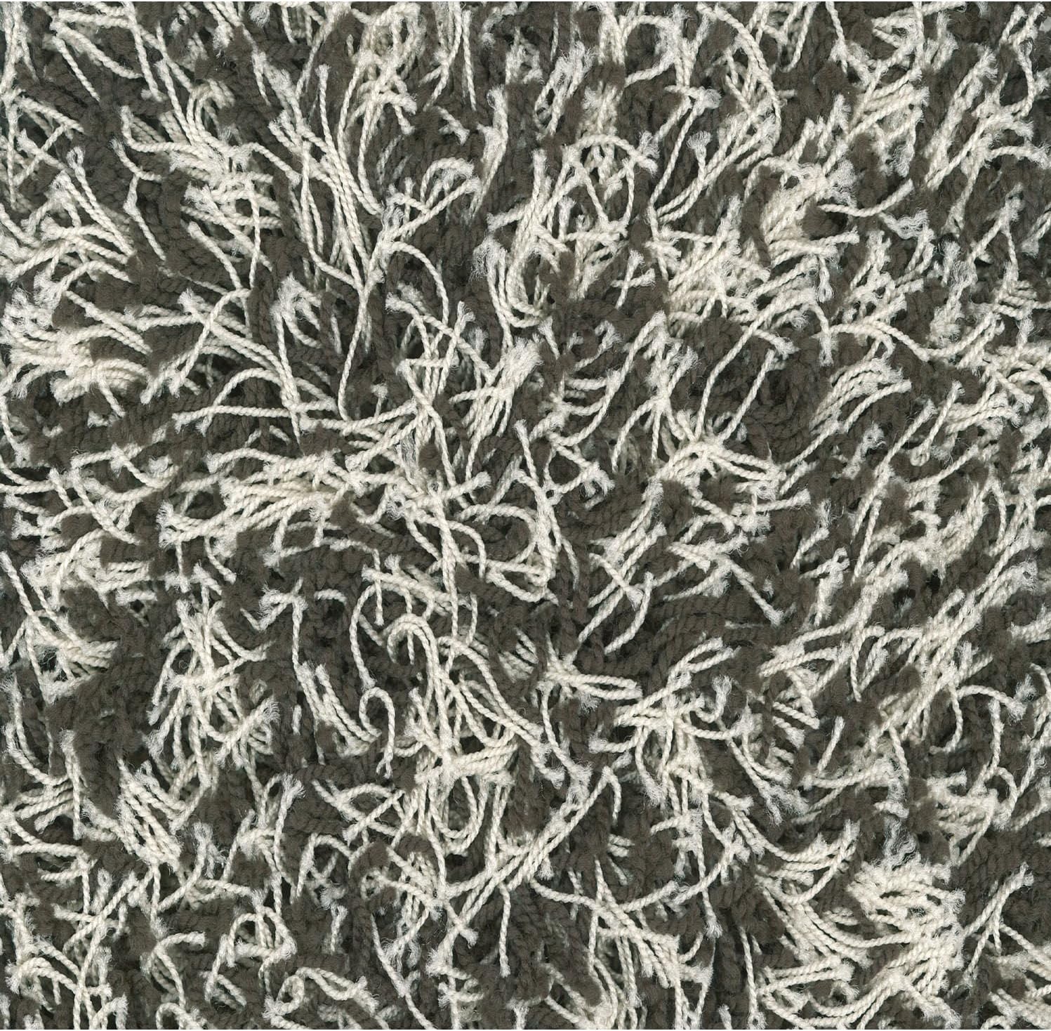 Amazon.com: Super Shag Zebra Rug Rug Size: 12' x 18' : Home & Kitchen