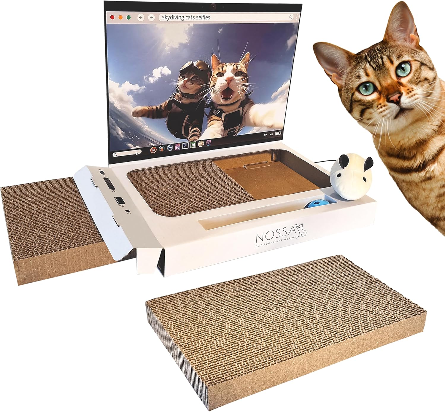 Amazon.com : NOSSA Refillable Cat Toy Laptop Computer Scratch Pad for ...