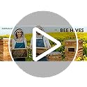 Amazon.com : Bee Hive 10 Frame Bee Box Starter Kit, Beeswax Coated Bee ...