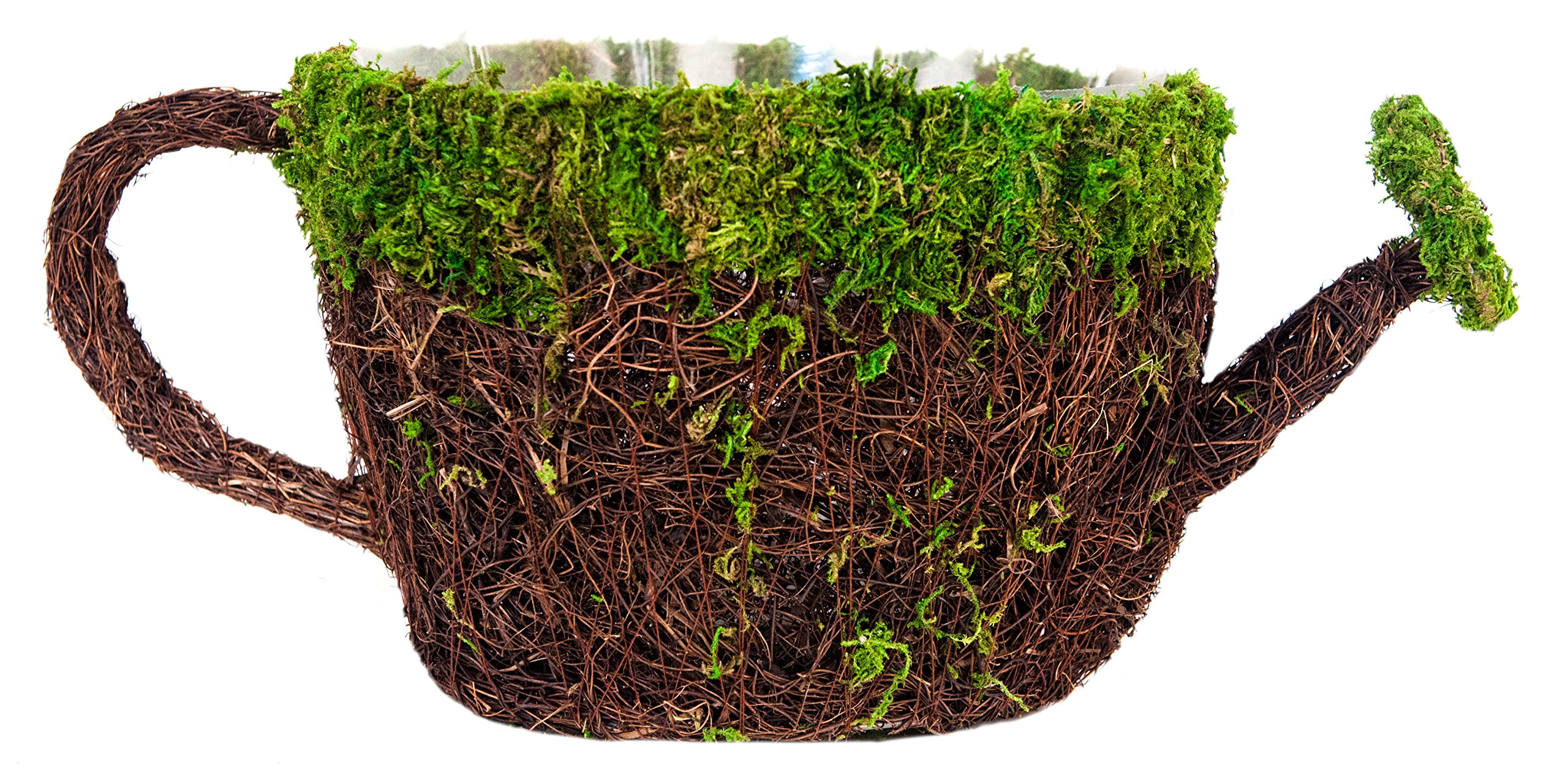 Amazon.com : SuperMoss (55261) 9" Deco Watering Can Planter Basket ...
