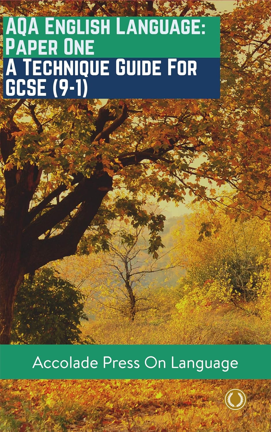 English Language Paper One: A Technique Guide for GCSE (9-1) (Accolade ...