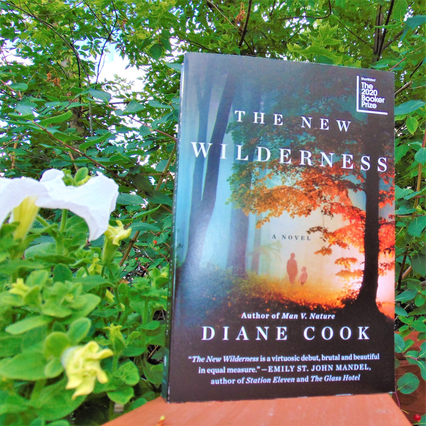 The New Wilderness: Cook, Diane: 9780062333131: Amazon.com: Books