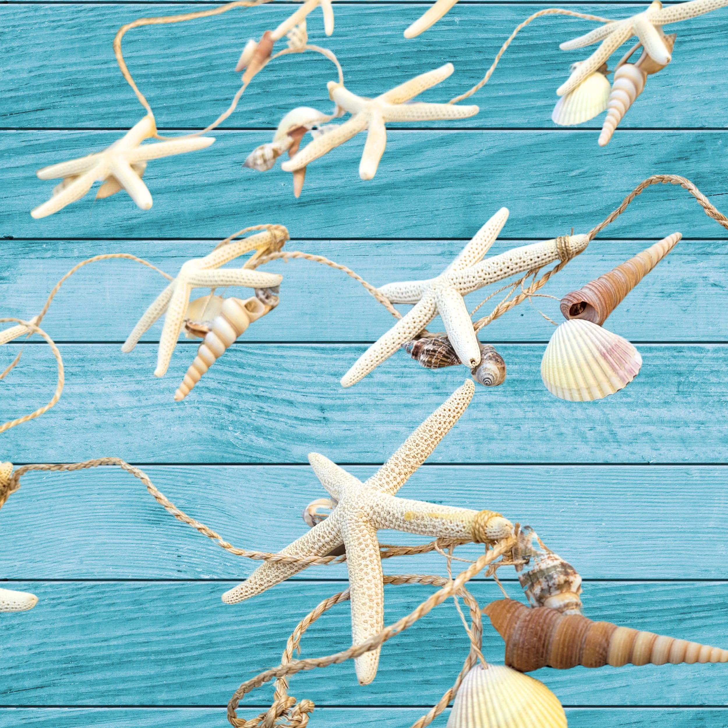 Amazon.com: VioraWhite 6 Ft Shell Garland Beach Mantel Swag Coastal ...