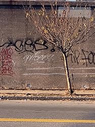 Graffiti Solutions Elephant Snot Graffiti Remover (1 Gallon) | Superior ...