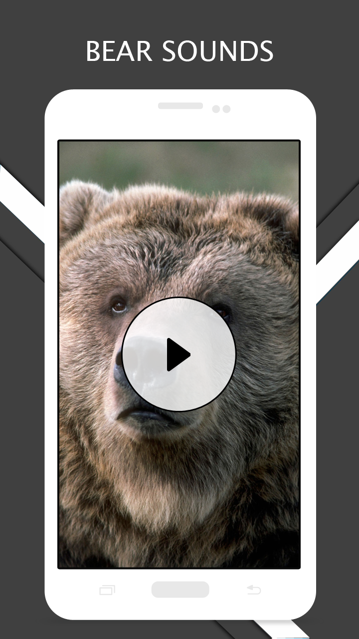 Bear Sounds - App on Amazon Appstore