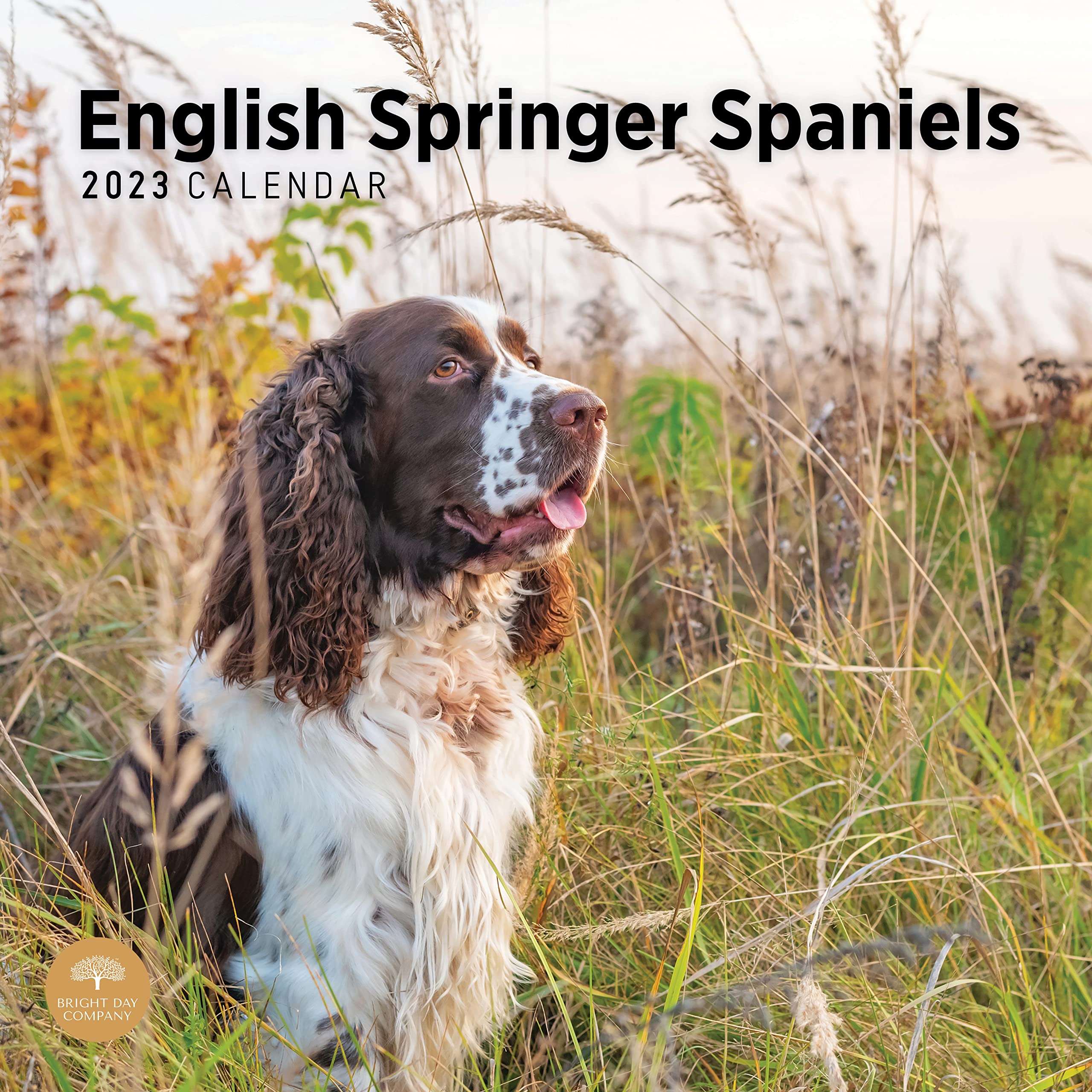 Are Springer Spaniels Good Hunting Dogs