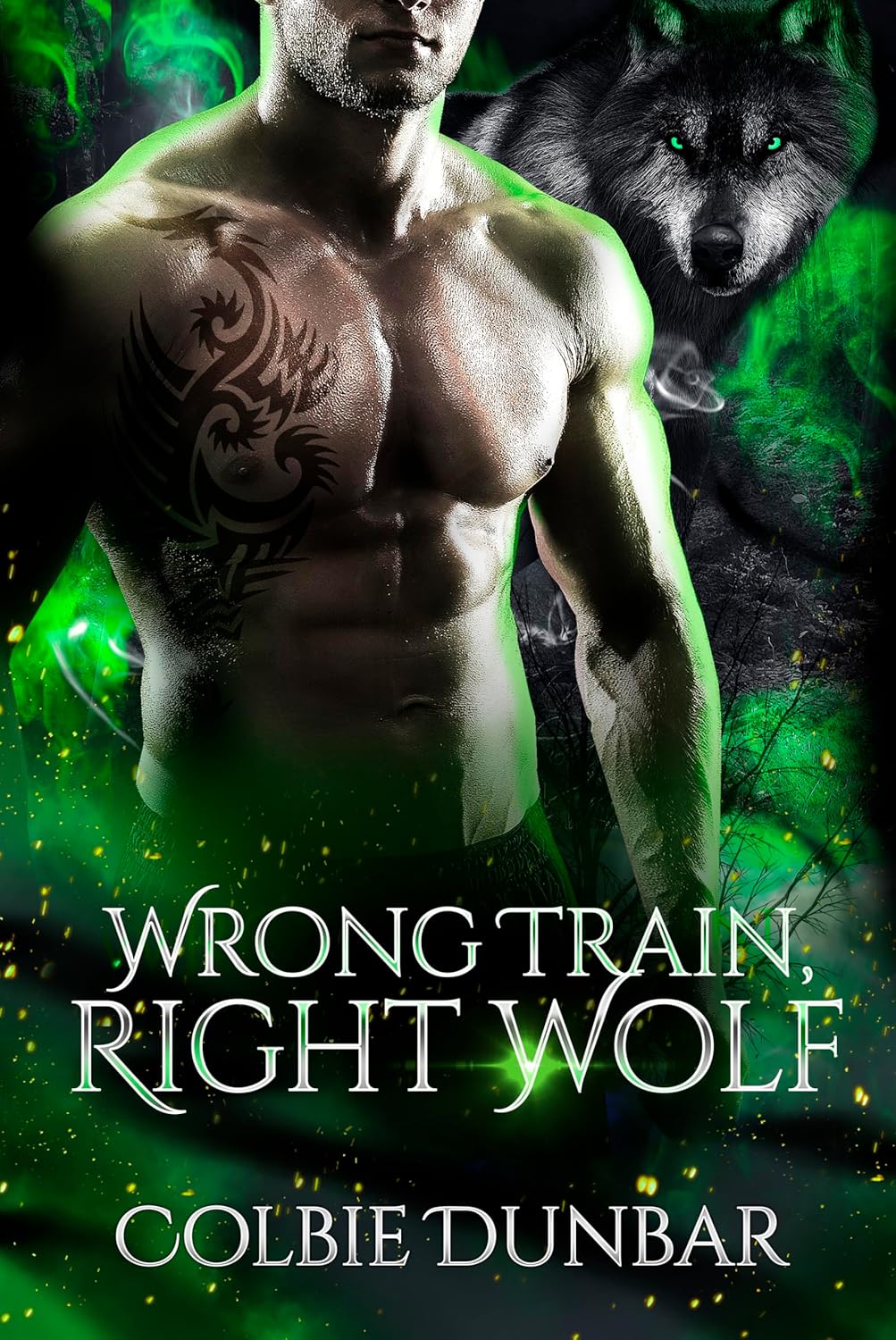 Wrong Train, Right Wolf: An Mpreg Shifter Romance - Kindle edition by ...