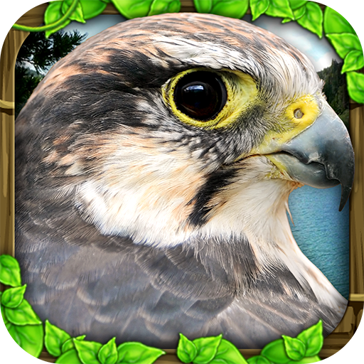 Falcon Simulator - App on Amazon Appstore