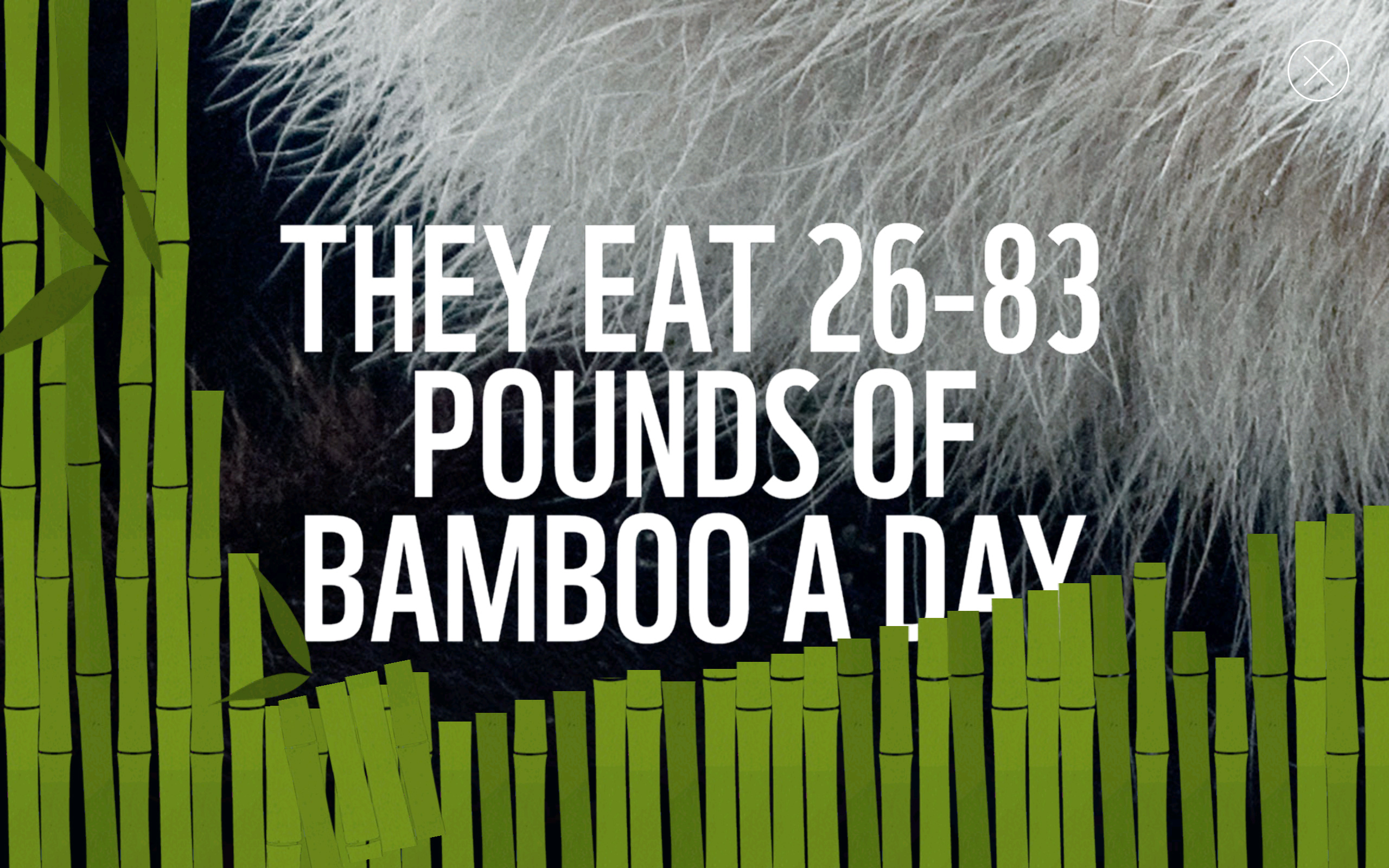 WWF Together - App on the Amazon Appstore