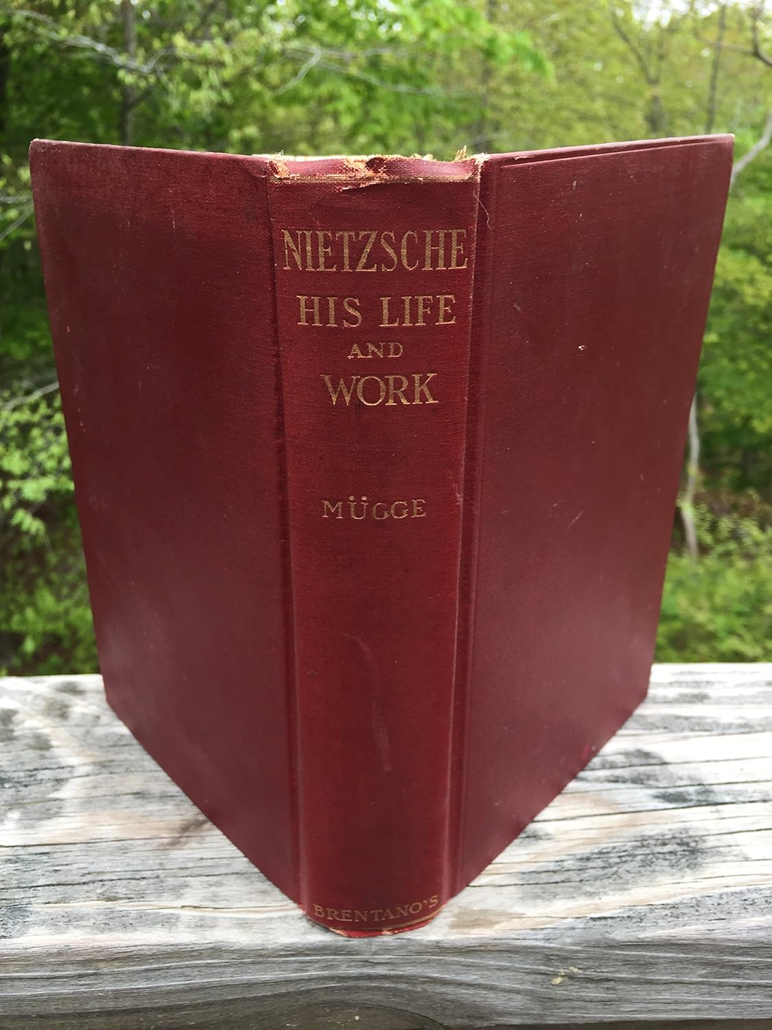 Friedrich Nietzsche: His Life and Work.: MUGGE, M.A.: Amazon.com: Books