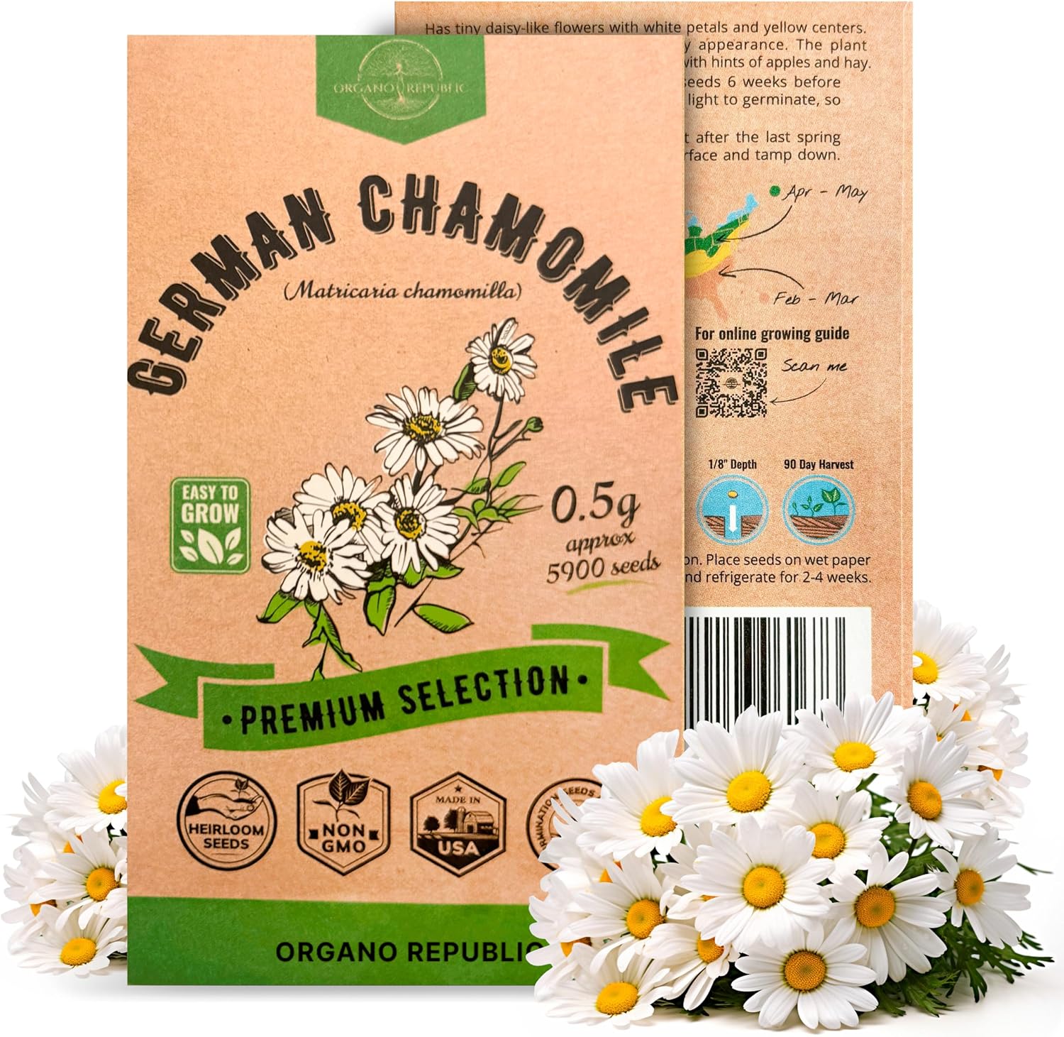 Amazon.com : Organo Republic German Chamomile Seeds Pack 0.5 G - Over ...