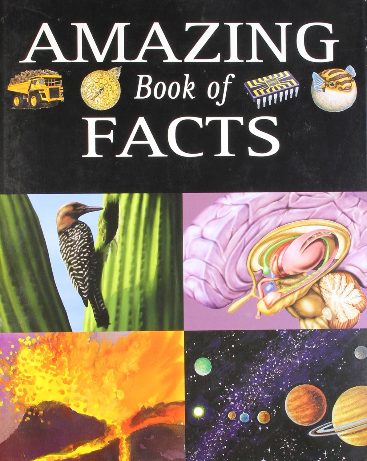 Buy Amazing Book of Facts Book Online at Low Prices in India | Amazing ...