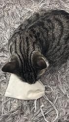 Simply Catnip Premium Extra Strong Bud Catnip : Amazon.co.uk: Pet Supplies