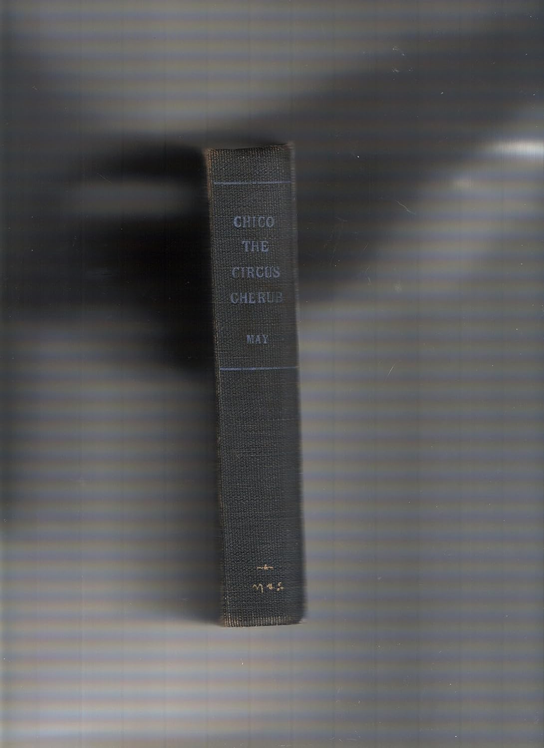 Chico the Circus Cherub: May, Stella Burke, Bernice Oehler: Amazon.com ...