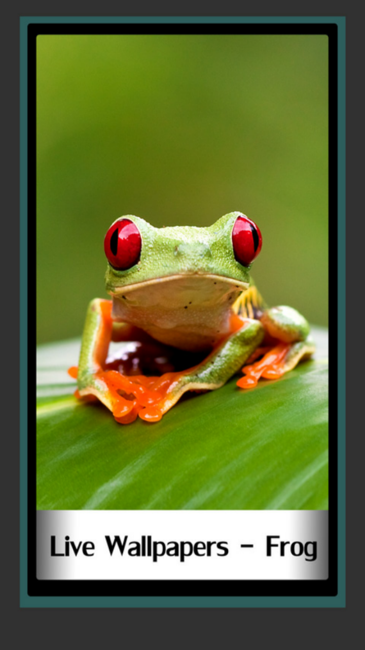 Live Wallpapers – Frog - App on Amazon Appstore