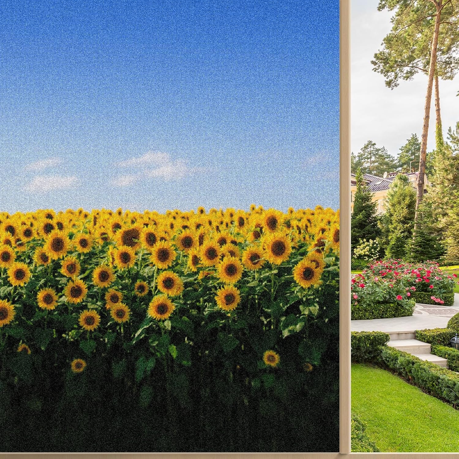 Amazon.com: MSINMKOK Window Privacy Film Sunflower Field Blue Sky ...
