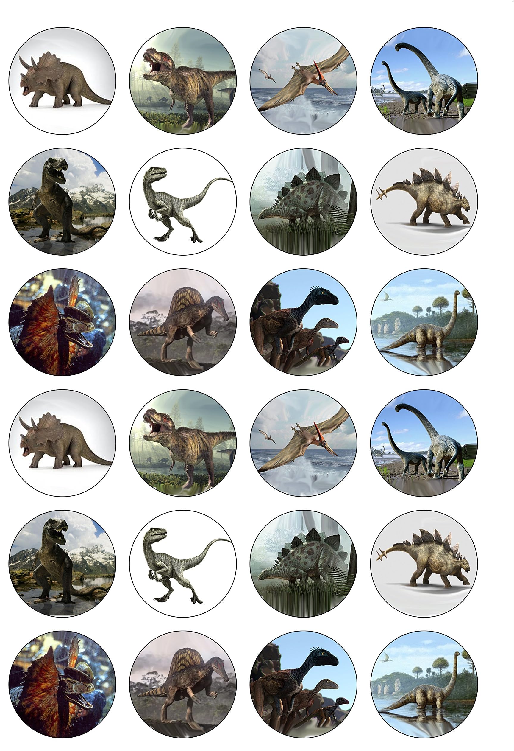 24 Dinosaurs Dinos Theme Edible Wafer Paper Cup Cake Toppers : Amazon ...