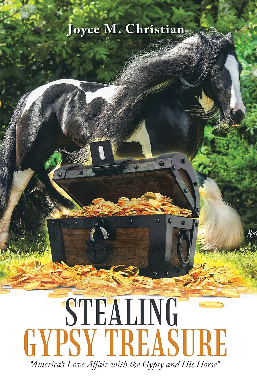 Stealing Gypsy Treasure: “America’S Love Affair with the Gypsy and His ...