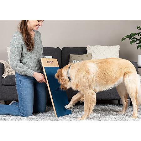 Amazon.com: Digger Dog Nail File Board - Stress Free Alternative to Dog ...