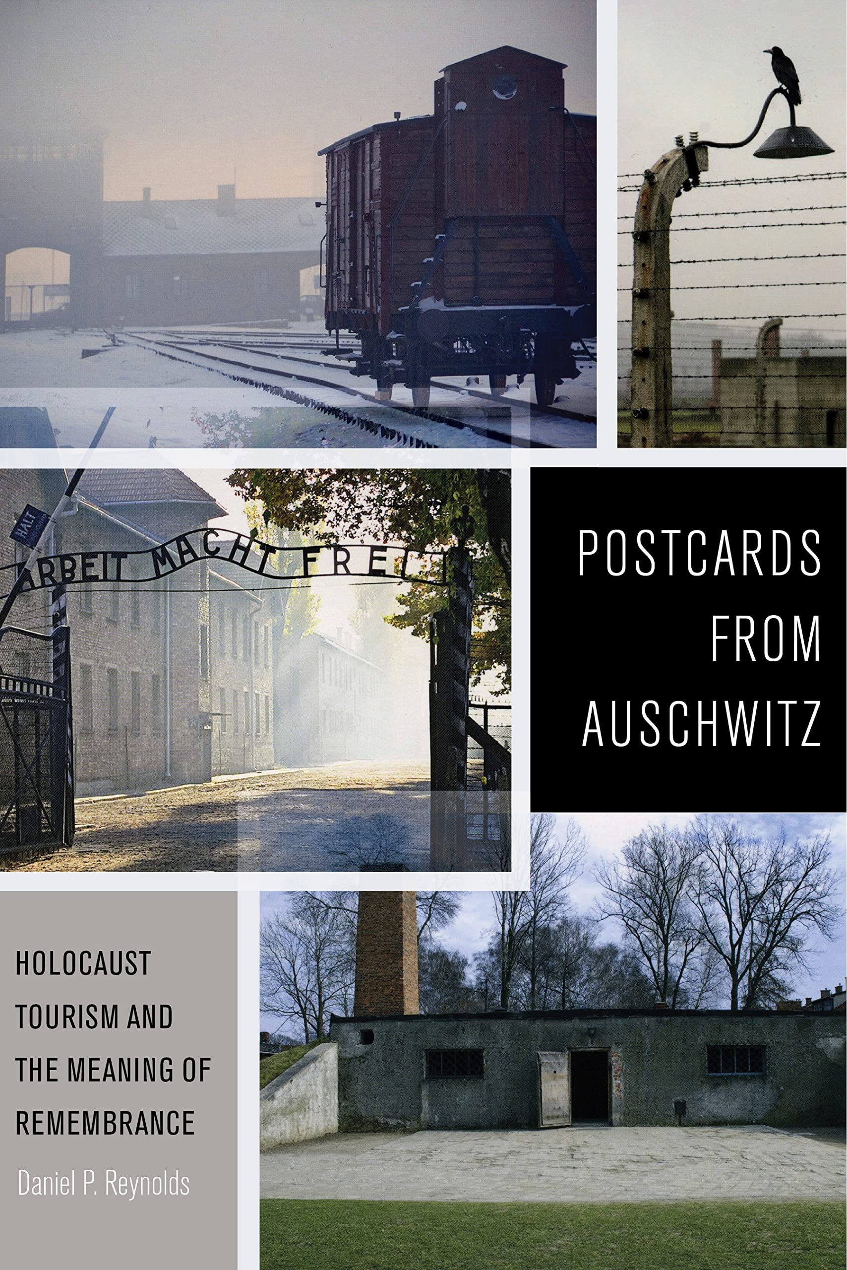 Postcards from Auschwitz: Reynolds: 9781479806034: Amazon.com: Books
