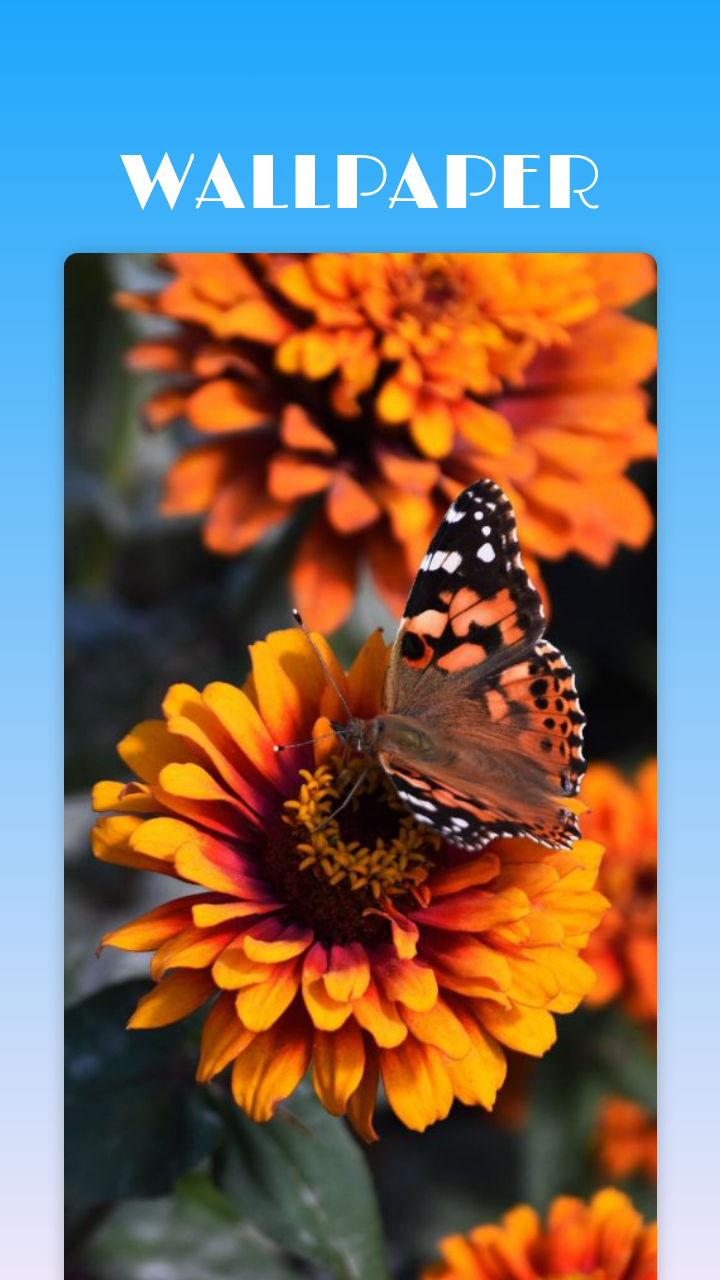 4K Wallpapers - App on Amazon Appstore