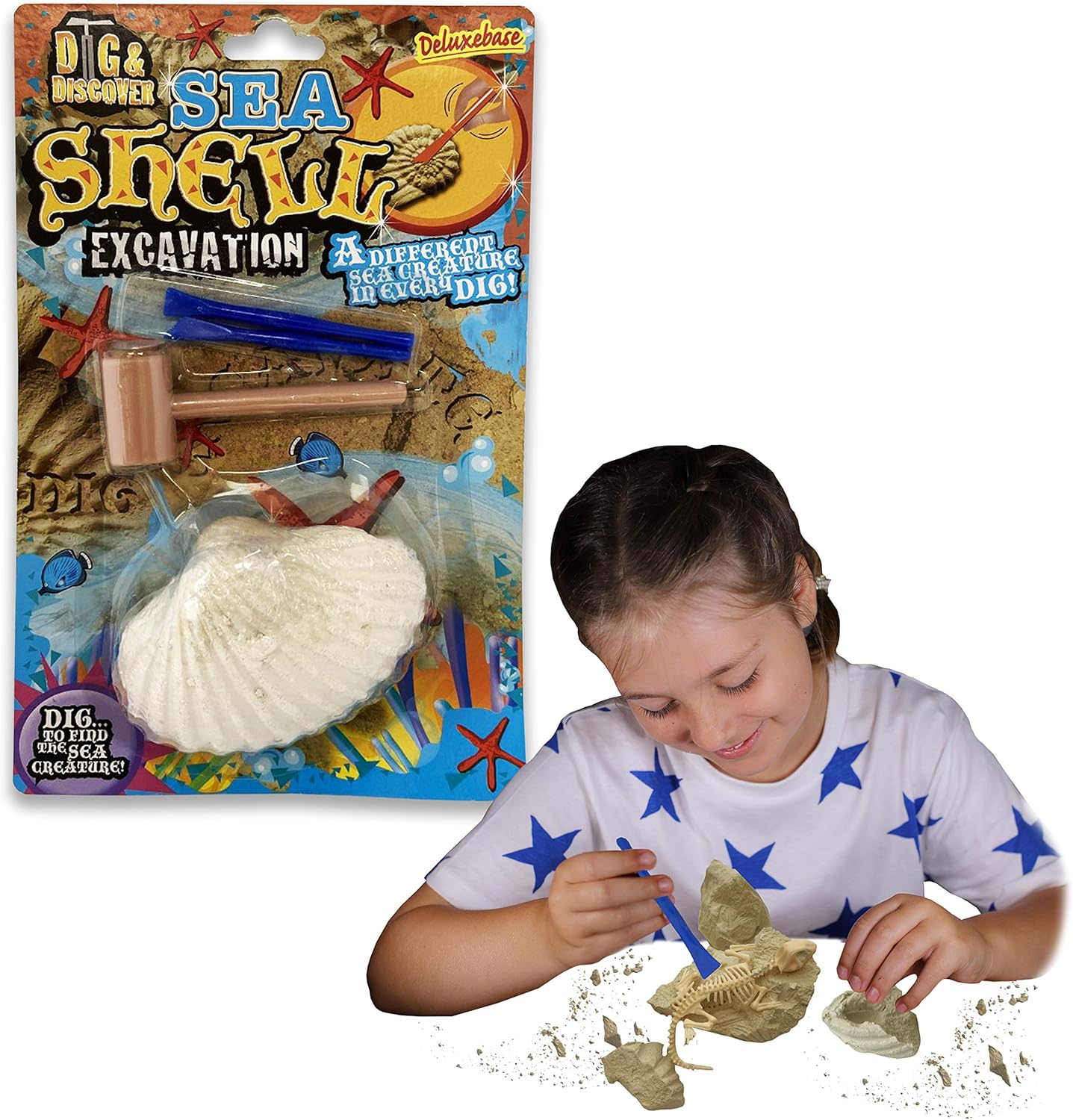 Amazon.com: Dig & Discover - Shell Excavation from Deluxebase. Kids ...