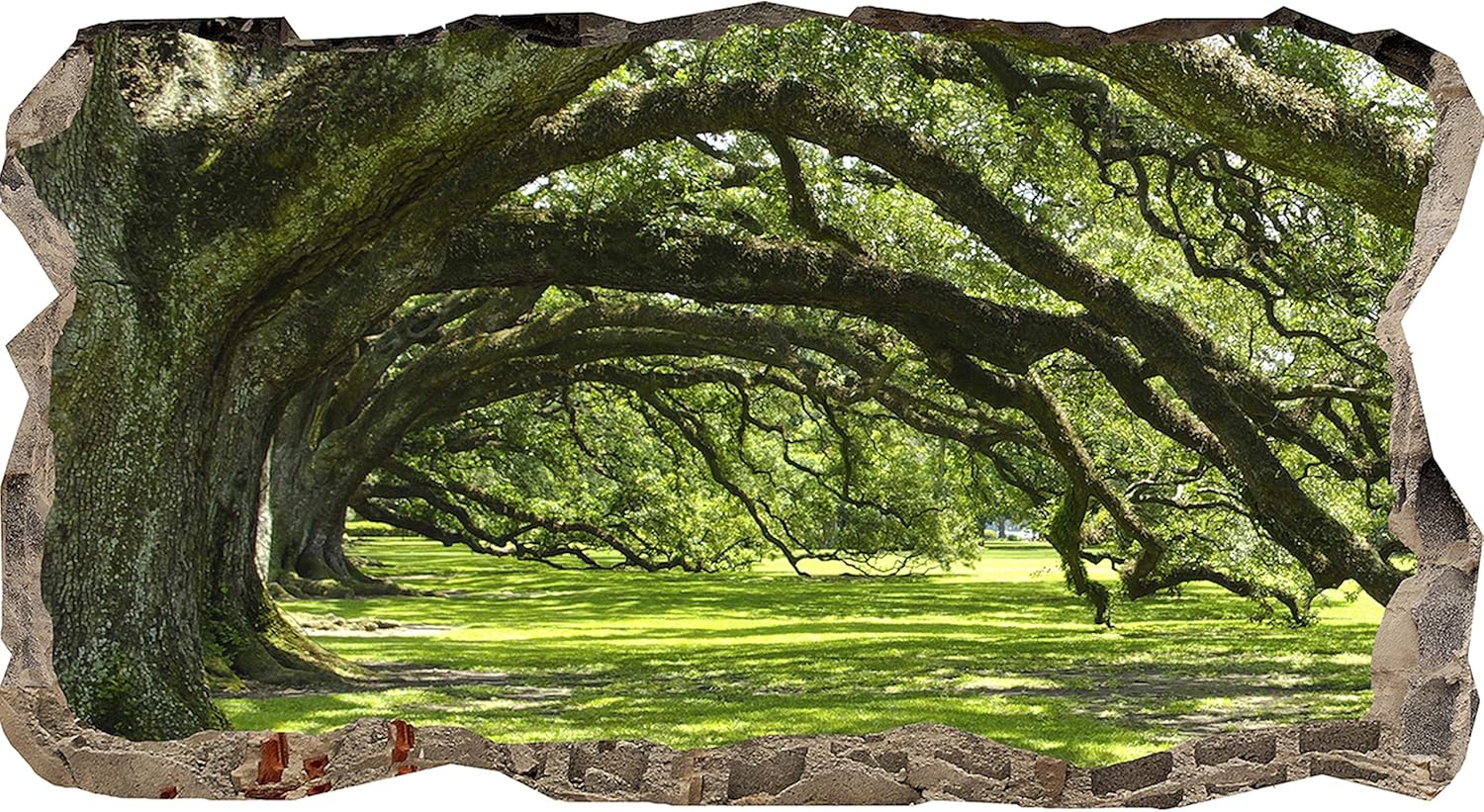 Startonight 3D Mural Wall Art Photo Decor Old Trees Amazing Dual View startonight-3d-mural-wall-art-photo-decor-old-trees-amazing-dual-view