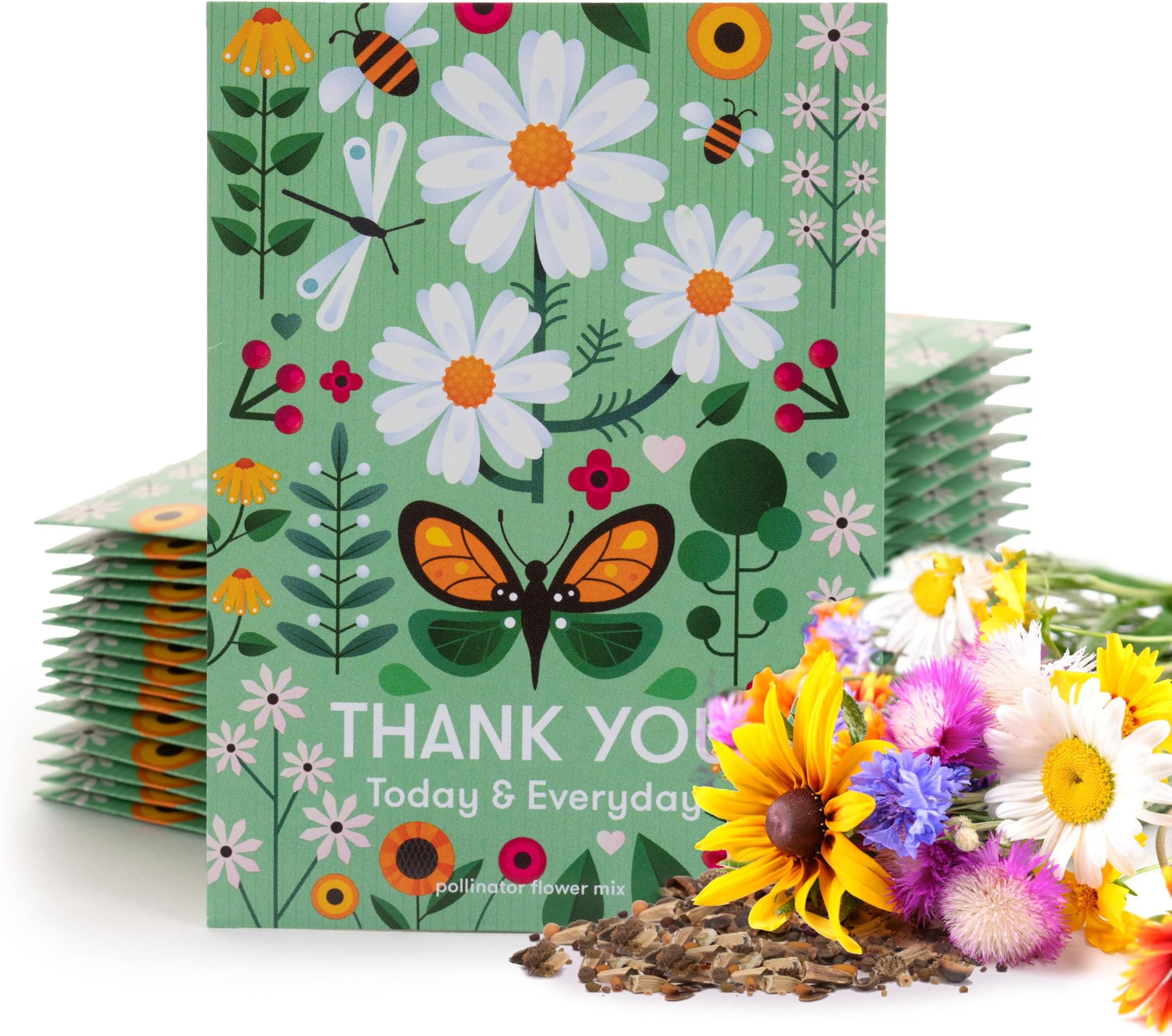 Amazon.com : American Meadows Wildflower Seed Packets Inspirational ...