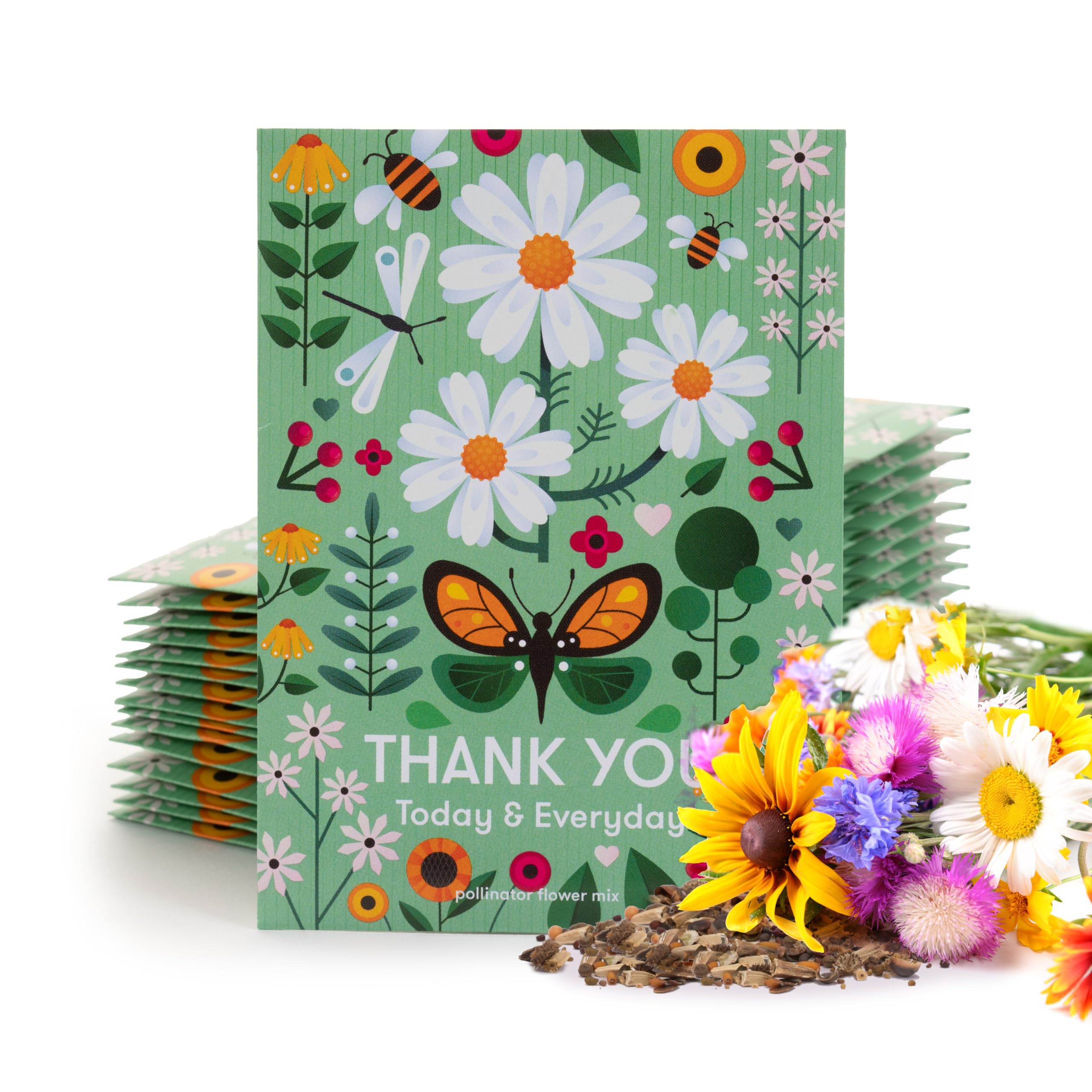 Amazon.com : Bentley Seed Co. Thank You Packet - Pollinator Flower Mix ...