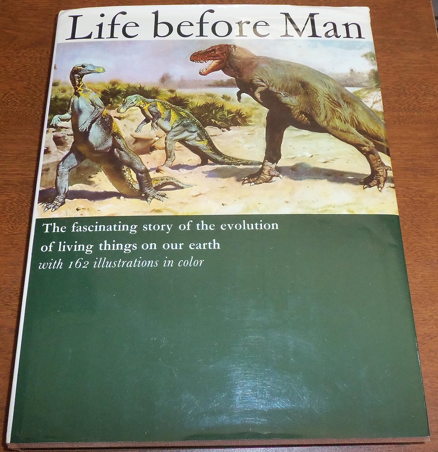Life Before Man: Zdenek V. Spinar, Zdenek Burian: 9780517347225: Amazon ...