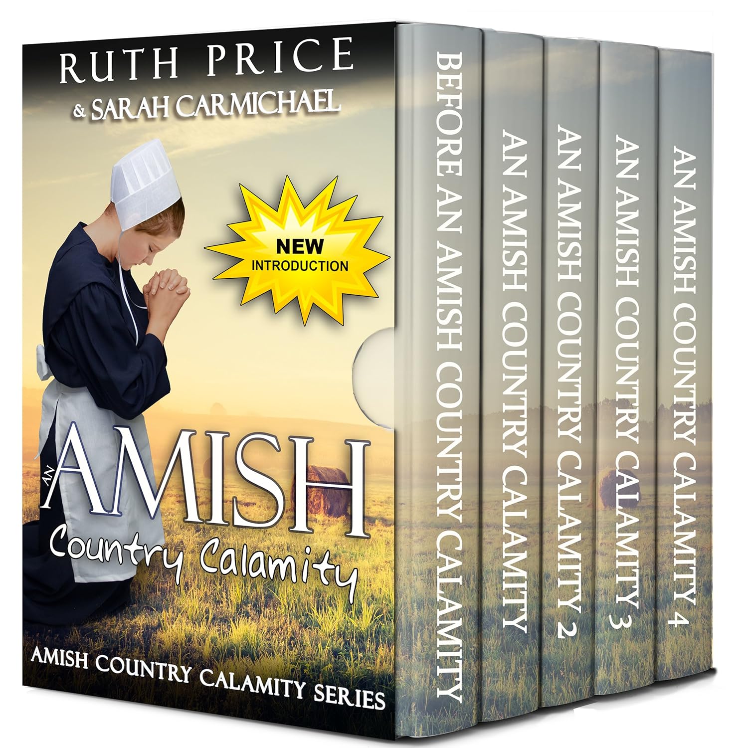 An Amish Country Calamity 5-Book Boxed Set - Kindle edition by Price ...