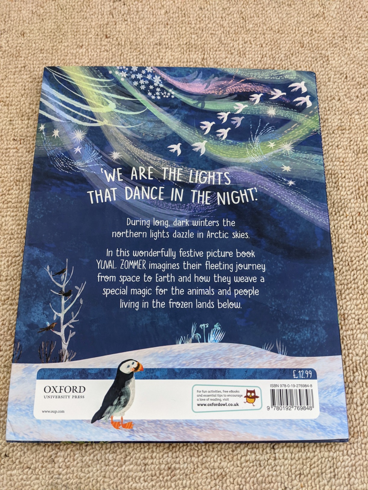 The Lights that Dance in the Night: Amazon.co.uk: Zommer, Yuval ...
