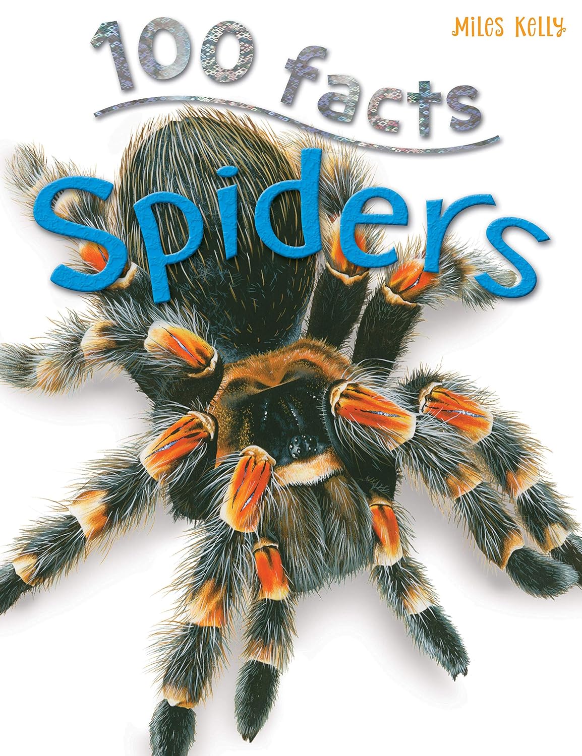 100 Facts - Spiders: Projects, Quizzes, Fun Facts, Cartoons: Bedoyere ...