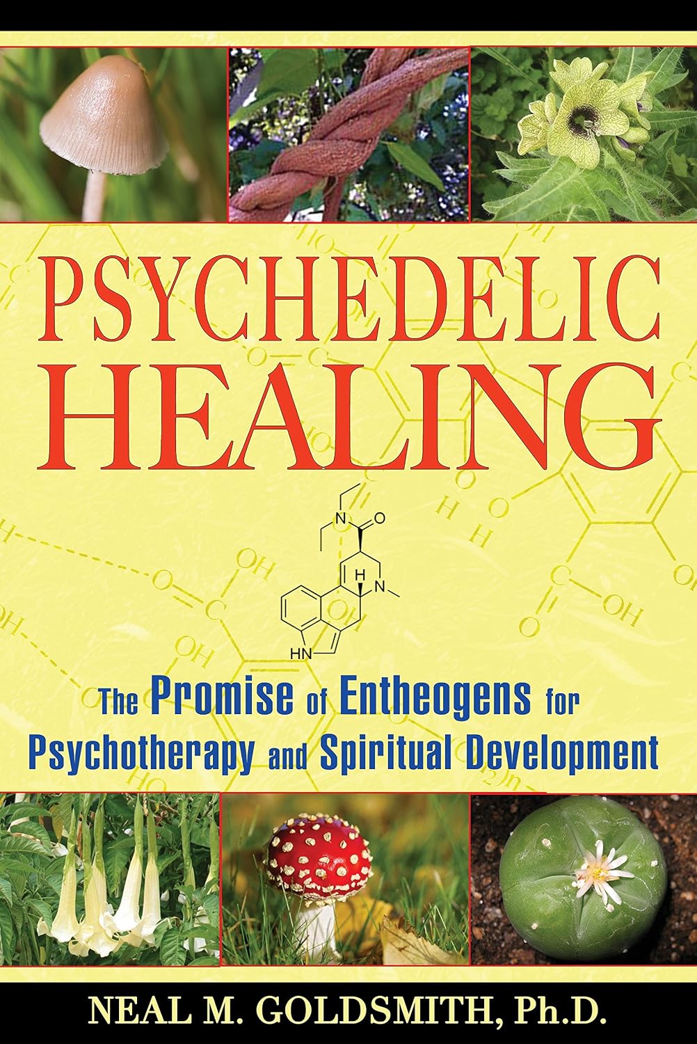 Psychedelic Healing: The Promise of Entheogens for Psychotherapy and ...