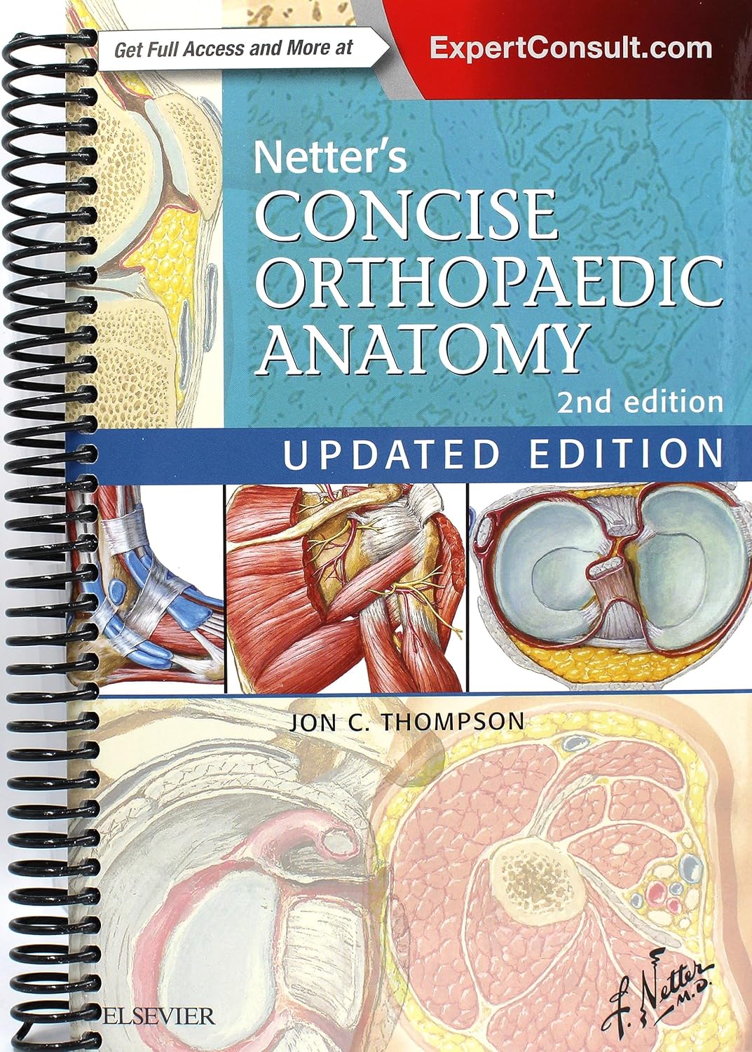 Netter's Concise Orthopaedic Anatomy, Updated Edition: Jon C. Thompson ...