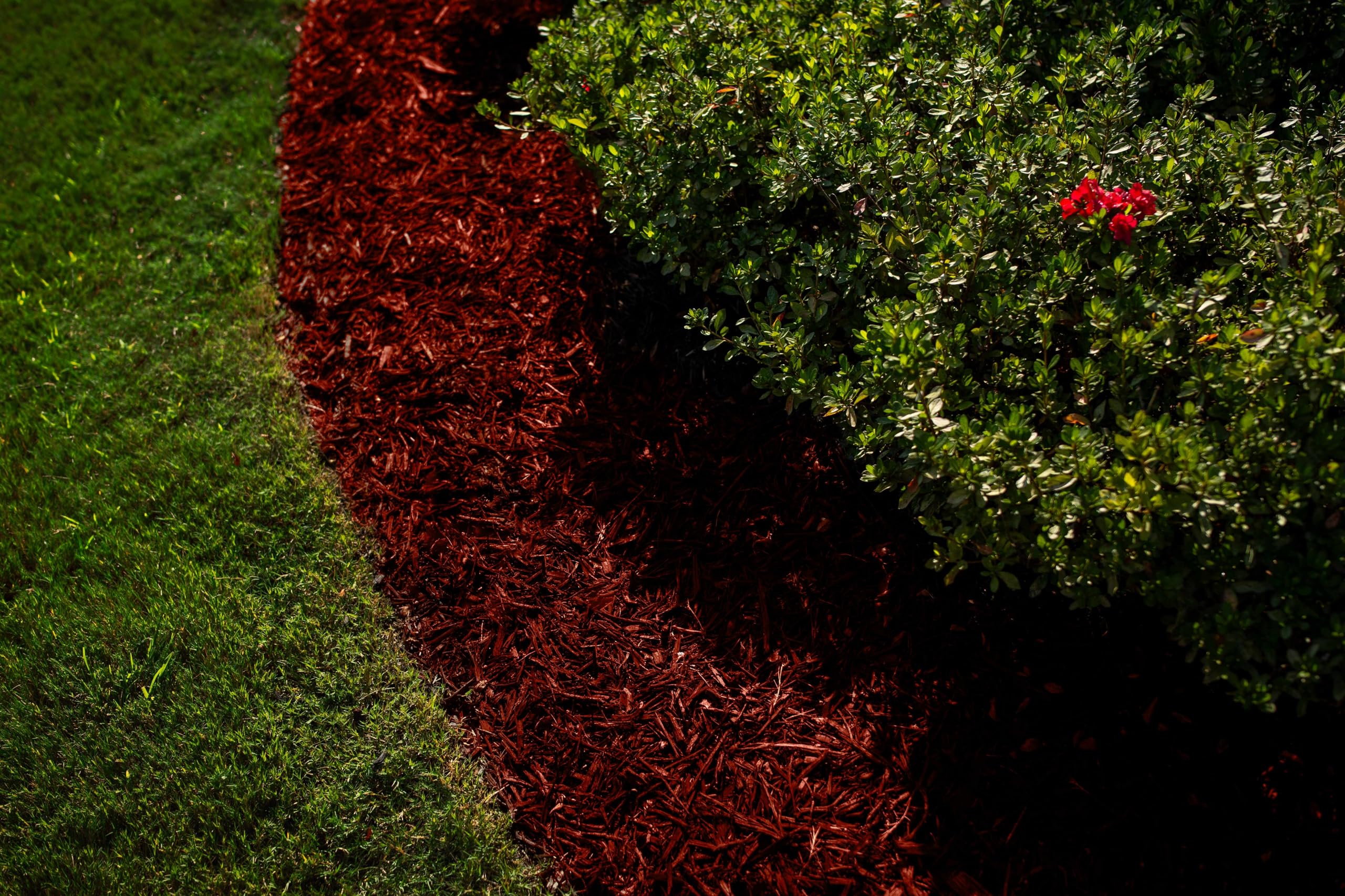 Snapklik.com : Red Mulch Dye, 3,200 Square Feet Coverage Mulch Colorant ...