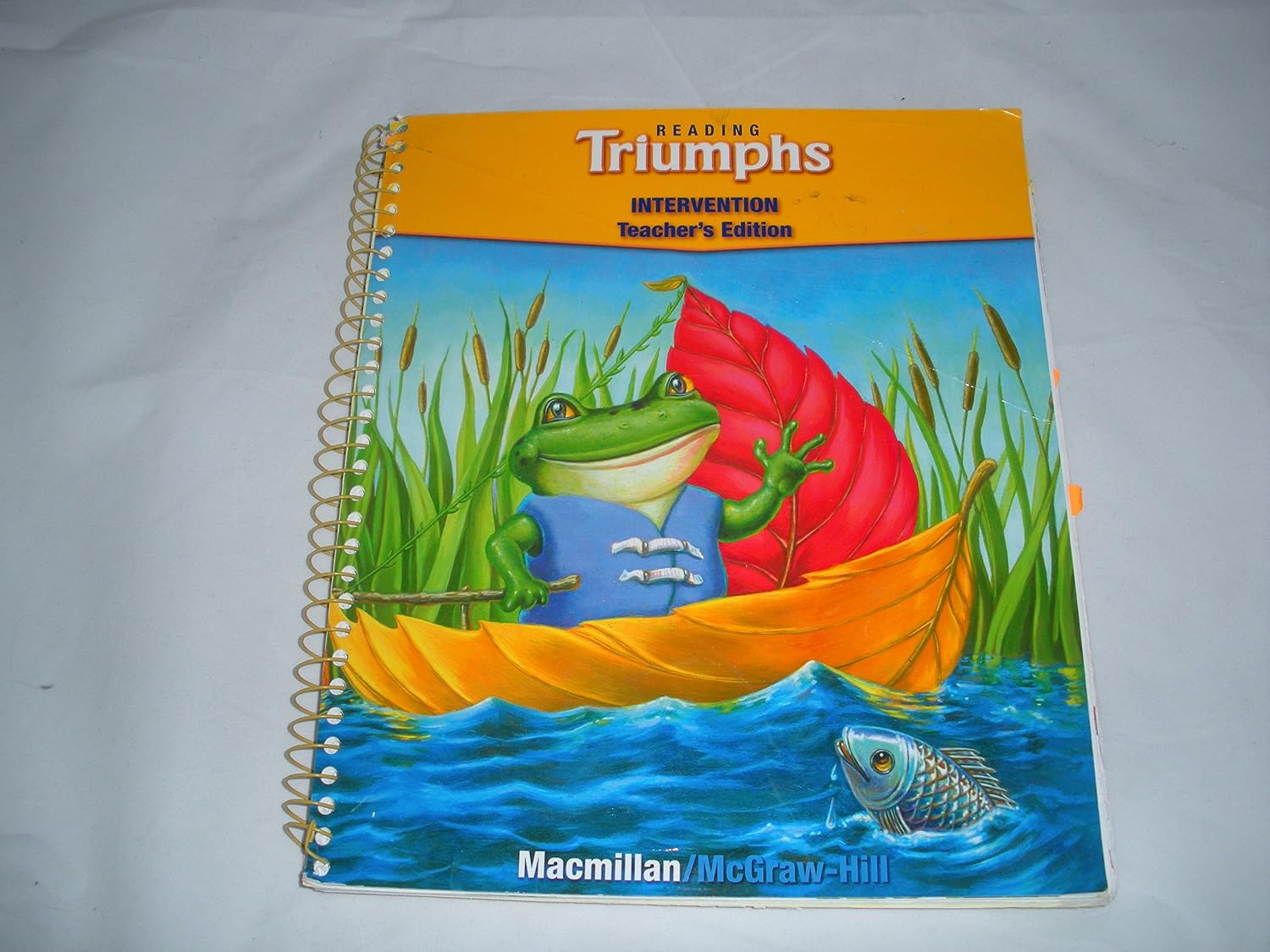 Treasures Reading Triumphs, Intervention, Teacher's Edition: Macmillan ...