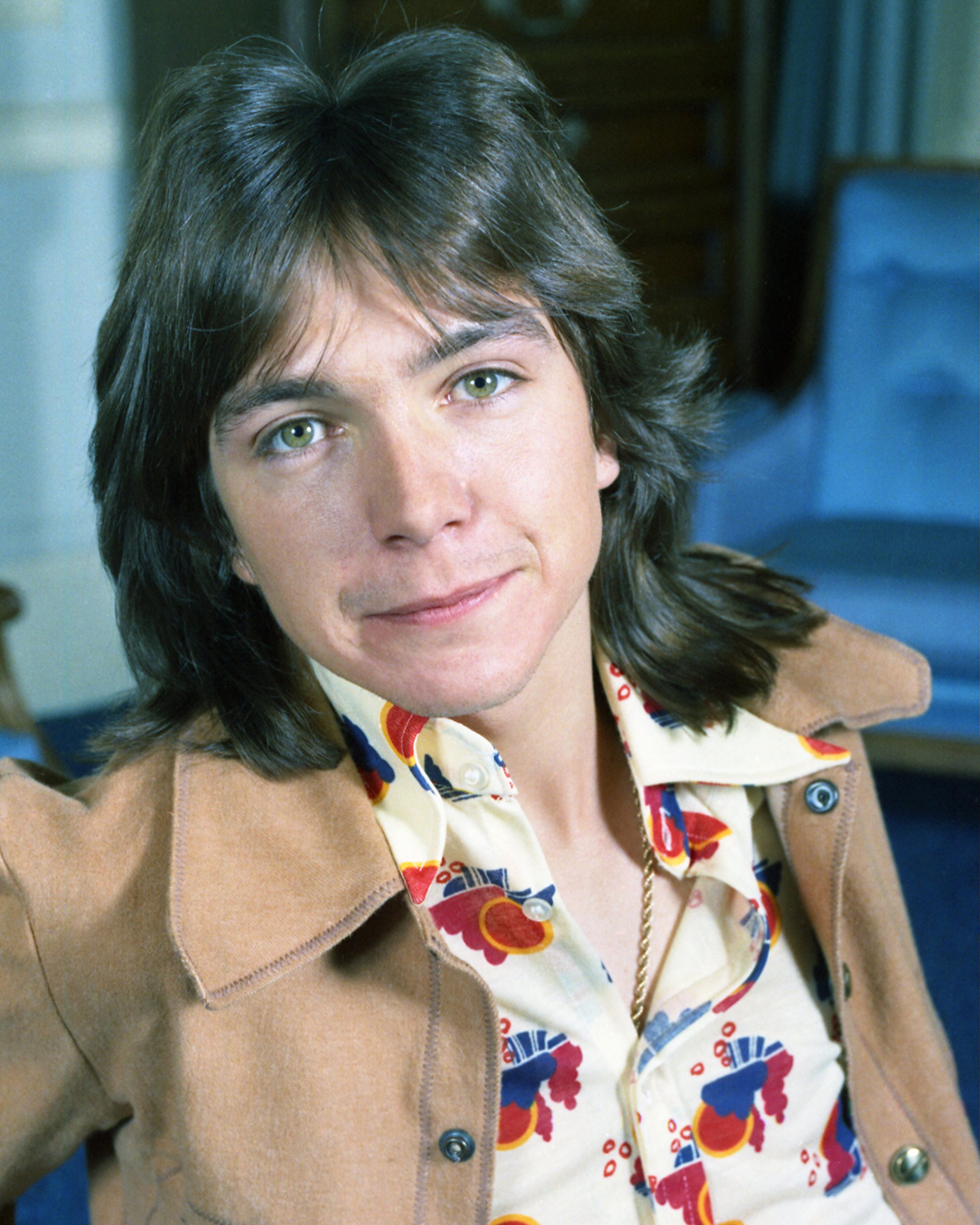 Young David Cassidy