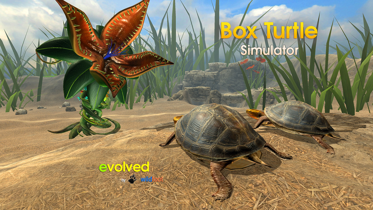 Box Turtle Simulator - App on Amazon Appstore