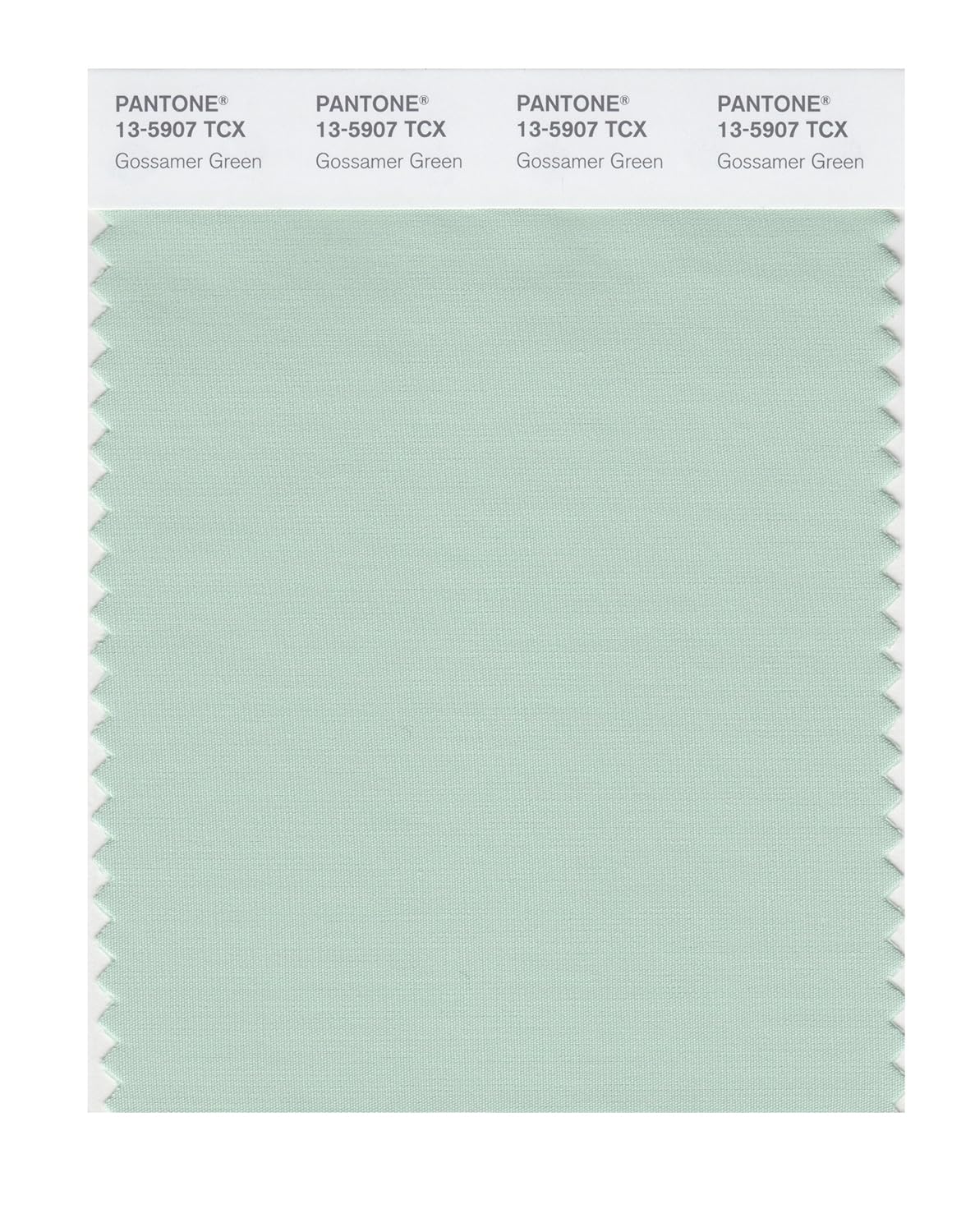 PANTONE Smart 13-5907X Color Swatch Card, Gossamer Green : Amazon.in: Home Improvement